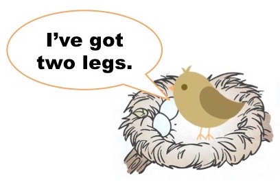 I’ve got two legs – Angielski w szkole i w domu