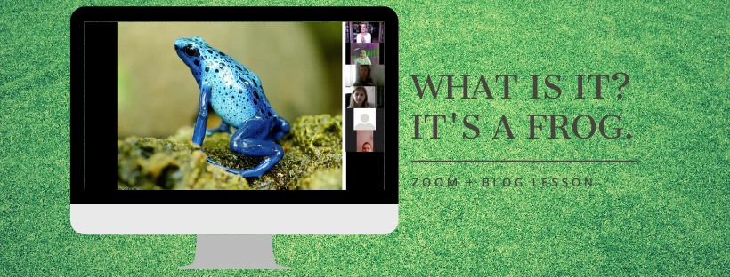 Klasa 0: What is it? It’s a frog! (online) – Angielski w szkole i w domu